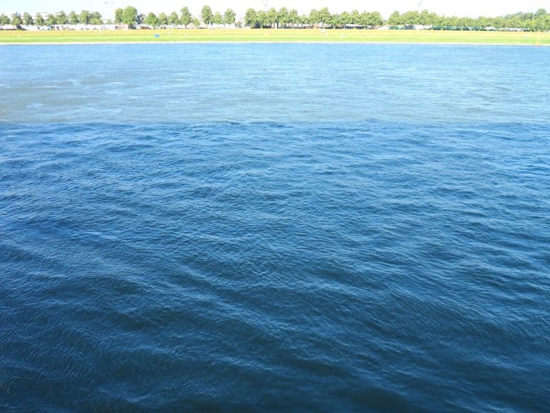 Andreas Gursky - Rhein II